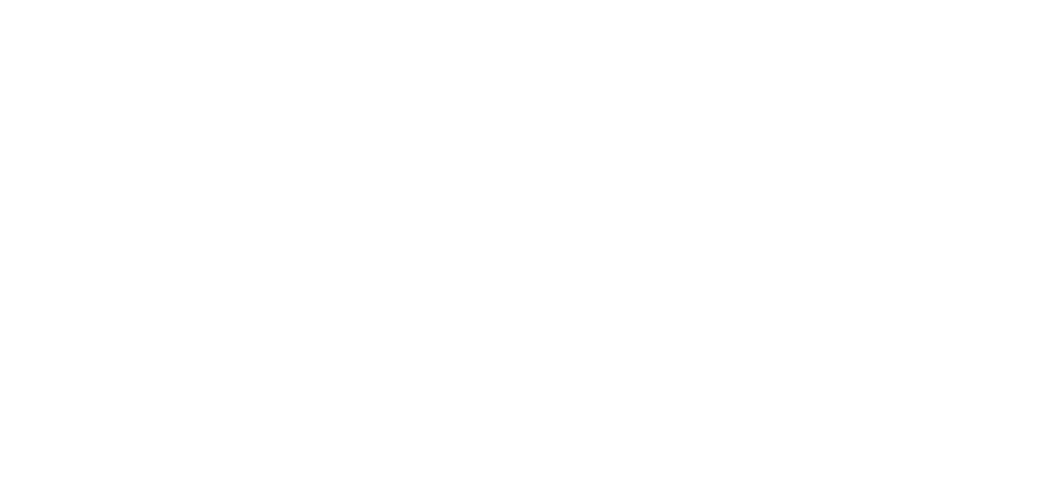 2021 Polar Plunge for Special Olympics Alaska - Campaign