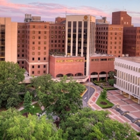 Georgie Collins 's fundraising page for Medical University of South ...