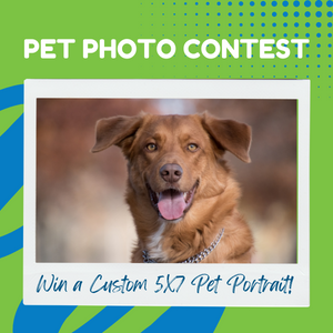 Pet Photo Contest's fundraising page for FETCH a Cure