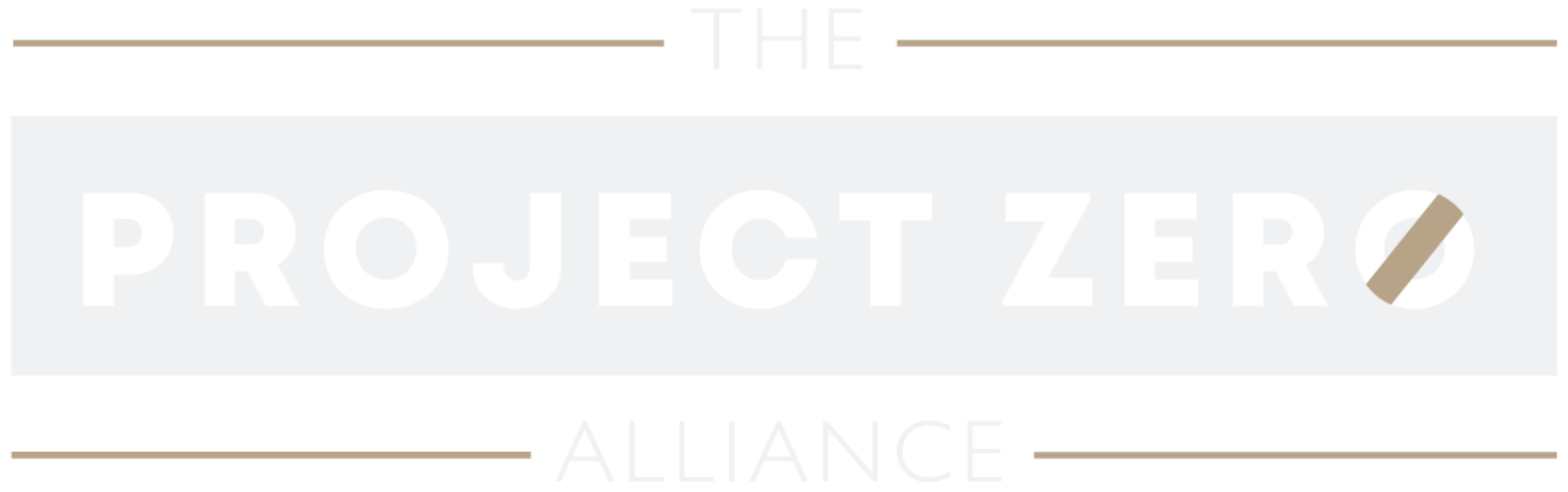 Project Zero Donations - Campaign