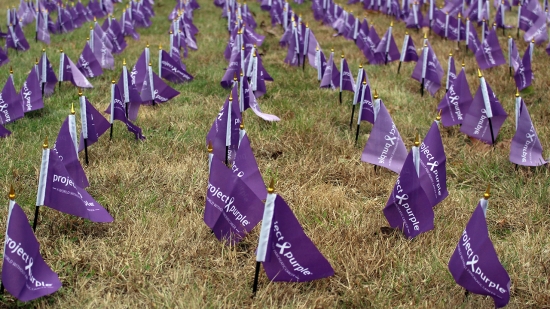Donate to Purple 360°