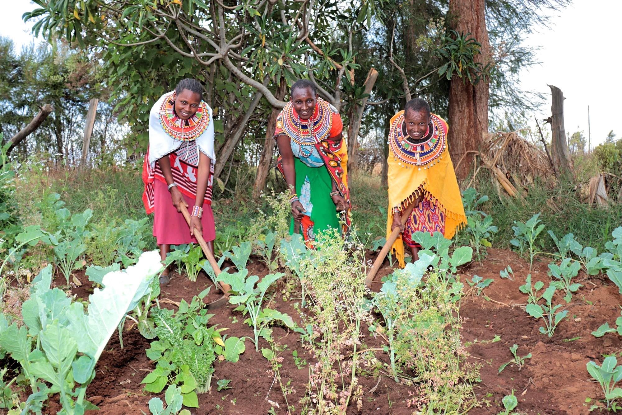 BOMA 2024 Annual Appeal - Campaign