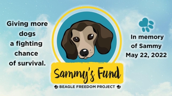 Sammy's Fund - Campaign