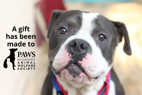 Donate to PAWS: Philadelphia Animal Welfare Society