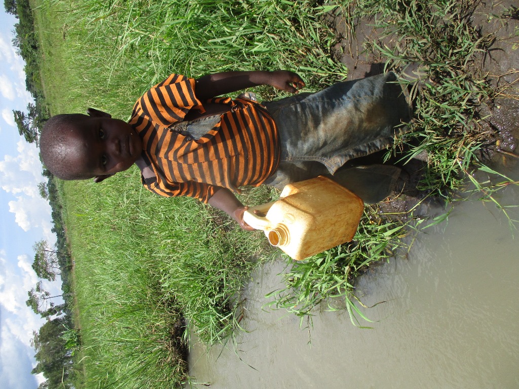 2024 Walk 4 Water Tampa Bay, FL - Campaign