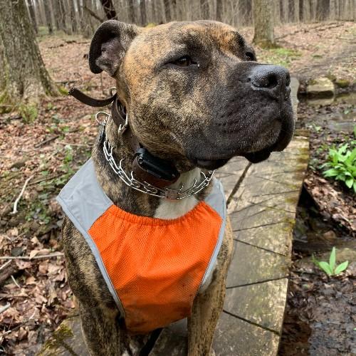 Sam Runyon (aka the Old Dude)'s fundraising page for Veterans ...