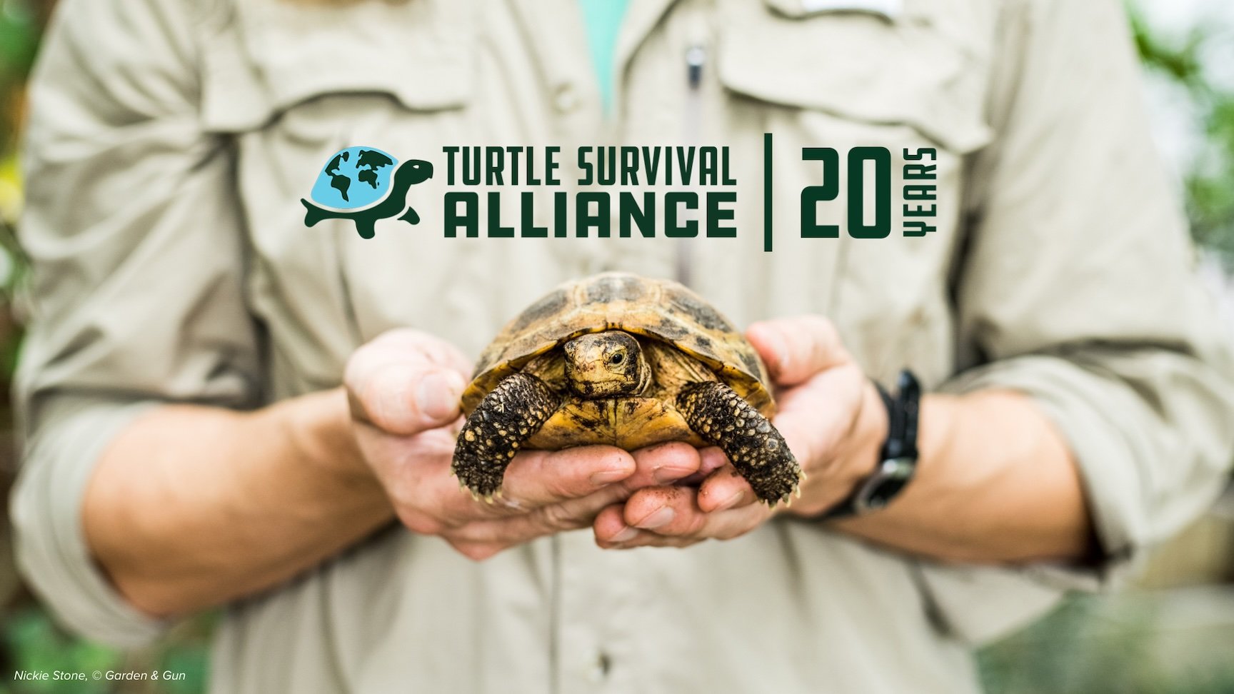 Donate to 2025 Turtle Survival Alliance Giving ON
