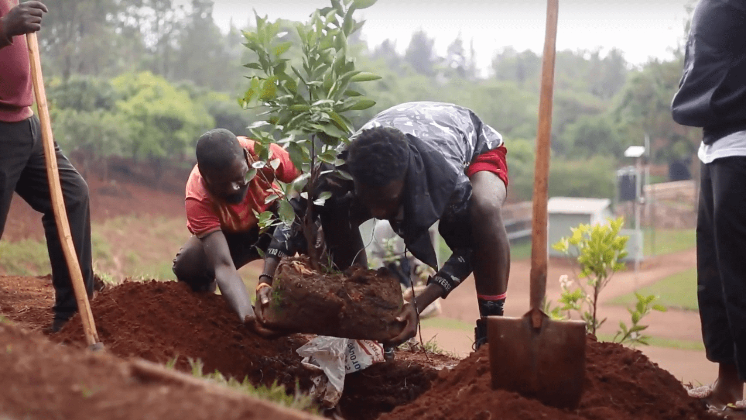 Agahozo-Shalom Youth Village Year-End 2021 - Campaign