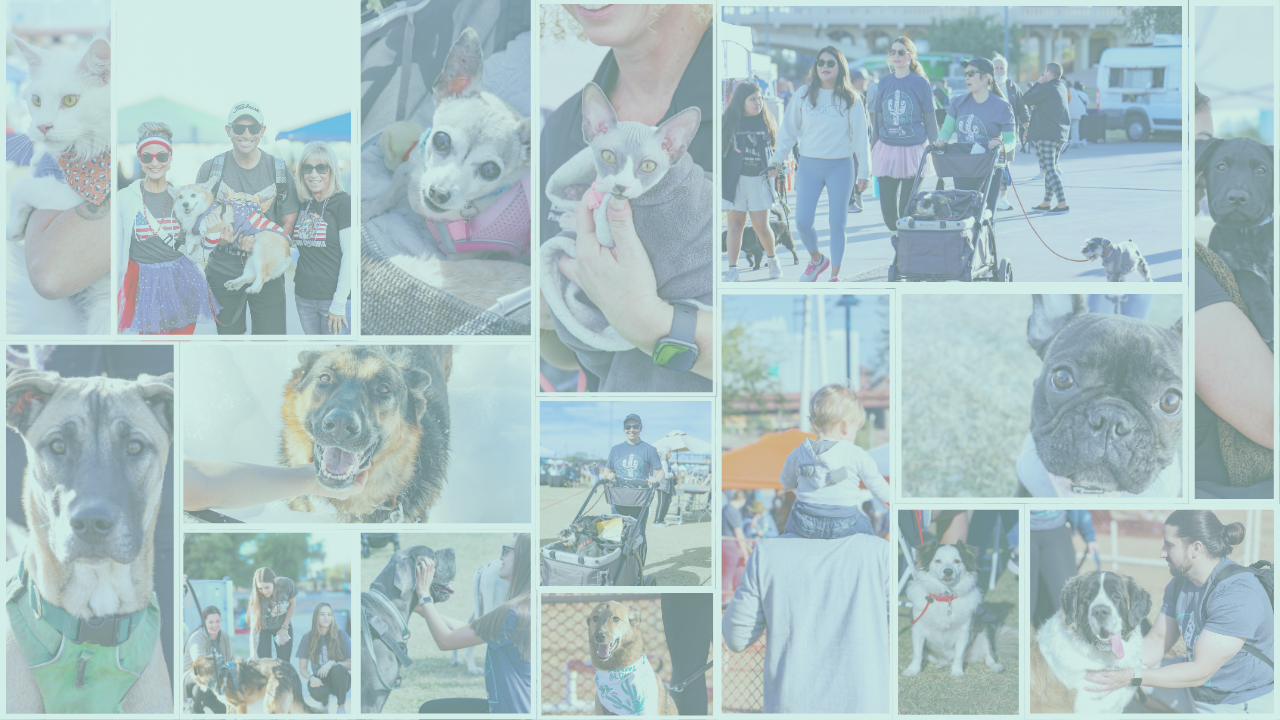 2025 Walk to Save Animals - Campaign