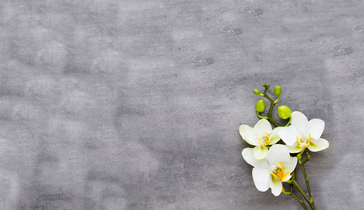 Donate to In Memory of Dr. Barmeyer