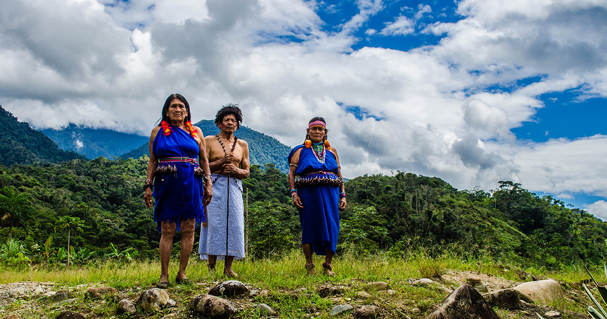 Help us protect indigenous lands! - Campaign