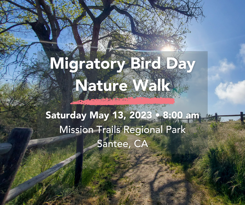 Migratory Bird Day Nature Walk - Campaign