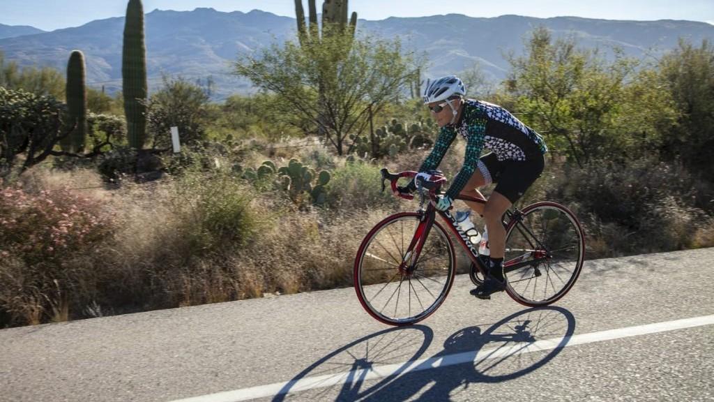 BTC Challenge-Phoenix 2024 - Campaign