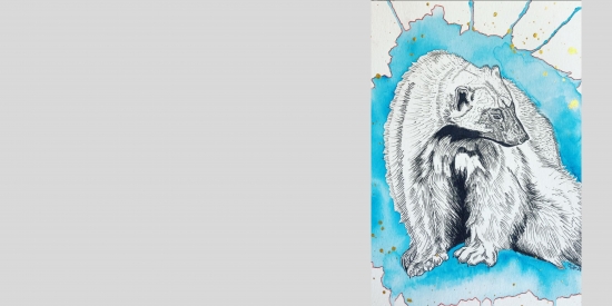 Donate to Cascades Wolverine Project Outreach Event