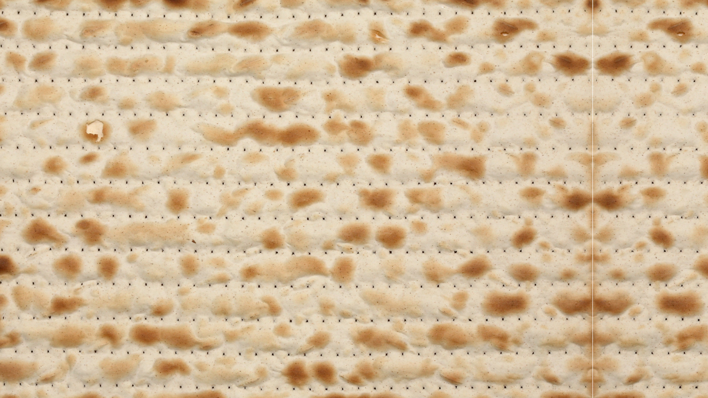 Donate to The Nosher Annual Giving 2023