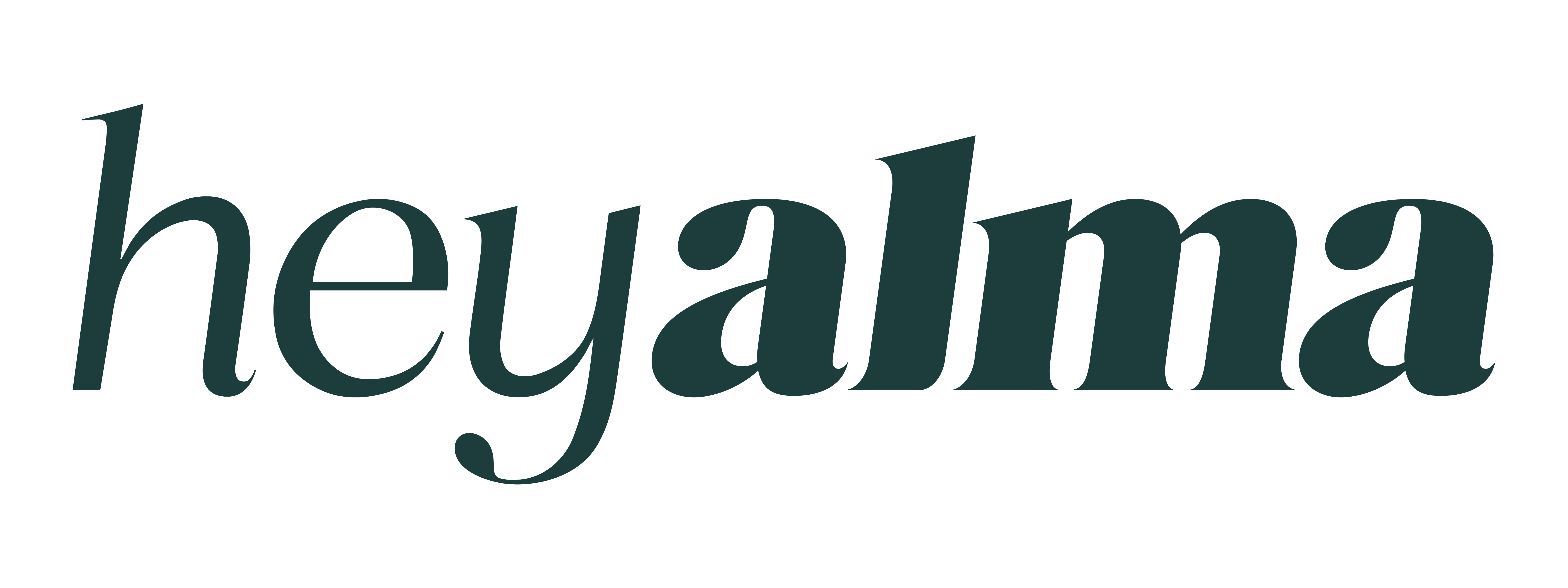 Donate to Hey Alma Merch Campaign