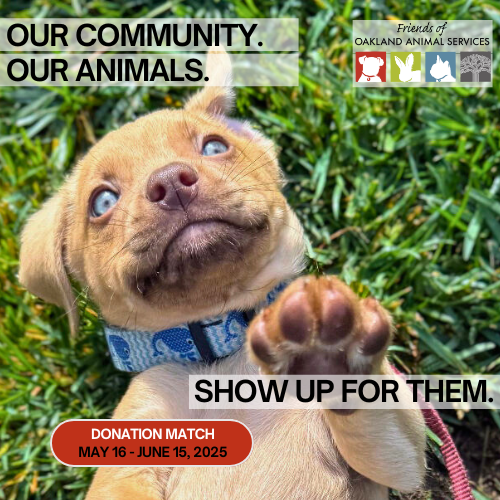 Our Community. Our Animals. - Campaign