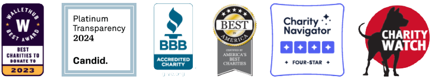 Danny's Walk to Save the Children 2025 - Campaign