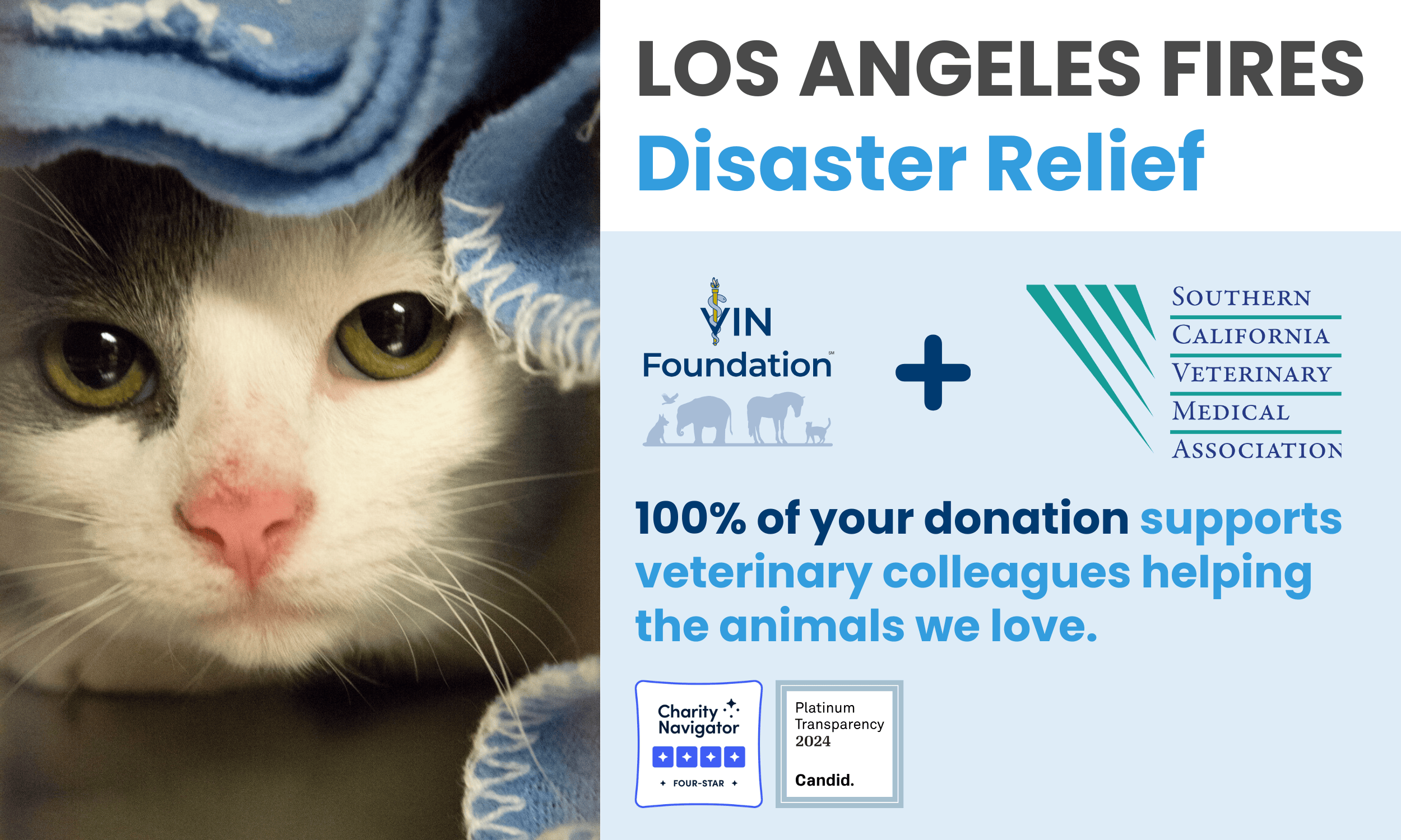 Donate to VIN Foundation Disaster Relief Los Angeles Fires
