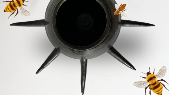 Coffee + Convo. with Raven Larcom - Campaign