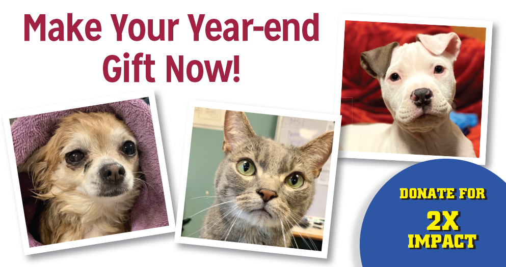 Donate to MDSPCA Donation Form - H&J Year-End December 2022
