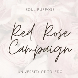 sharon segura's fundraising page for Bella Vita Network