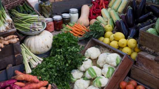 Donate to Good Shepherd Food Bank | TSM DM Donation Form Testing 2