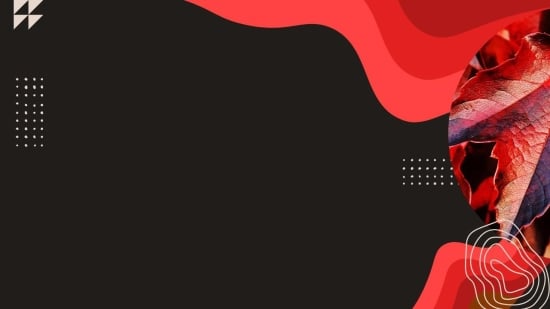 Atlanta TNT - Campaign