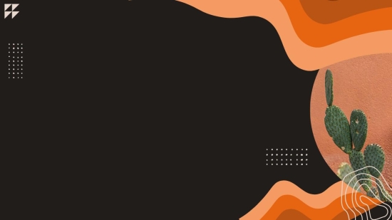 Macon TNT 2025 - Campaign