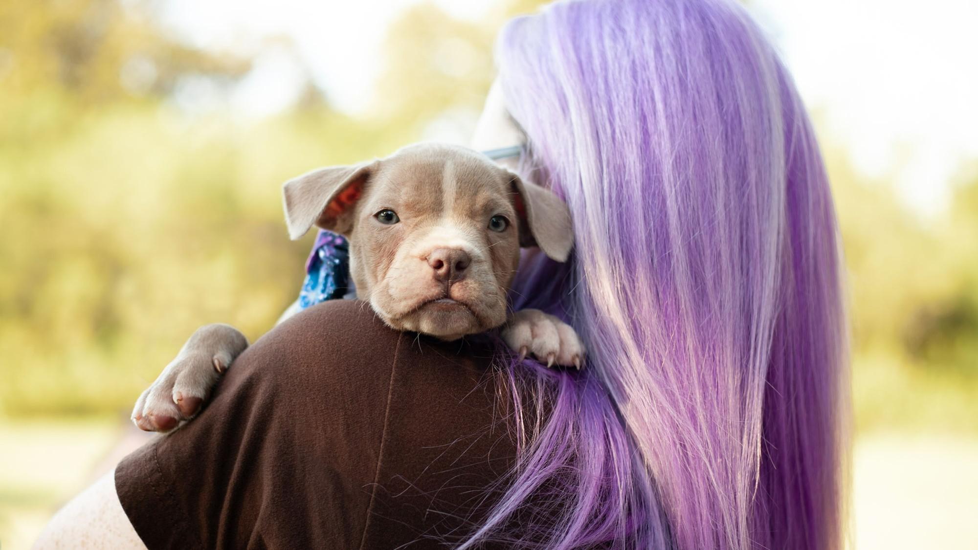 Become a Constant Companion - Campaign