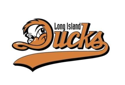 Donate to Long Island Ducks Jewish Heritage Night