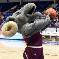 Ramses (Fordham University)'s fundraising page for Fans for the Cure