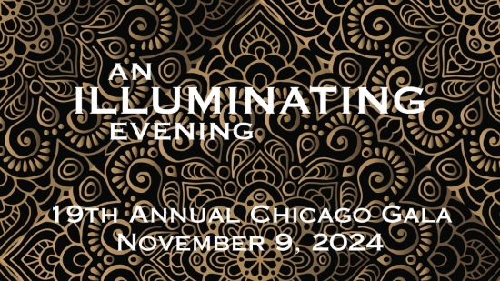 19th Annual Chicago Gala - Campaign