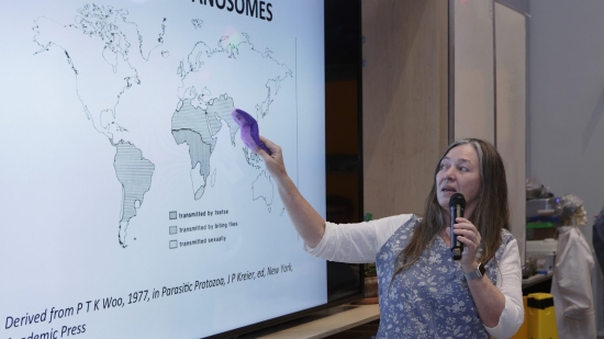 Fall 2024 Science Happy Hour - Campaign