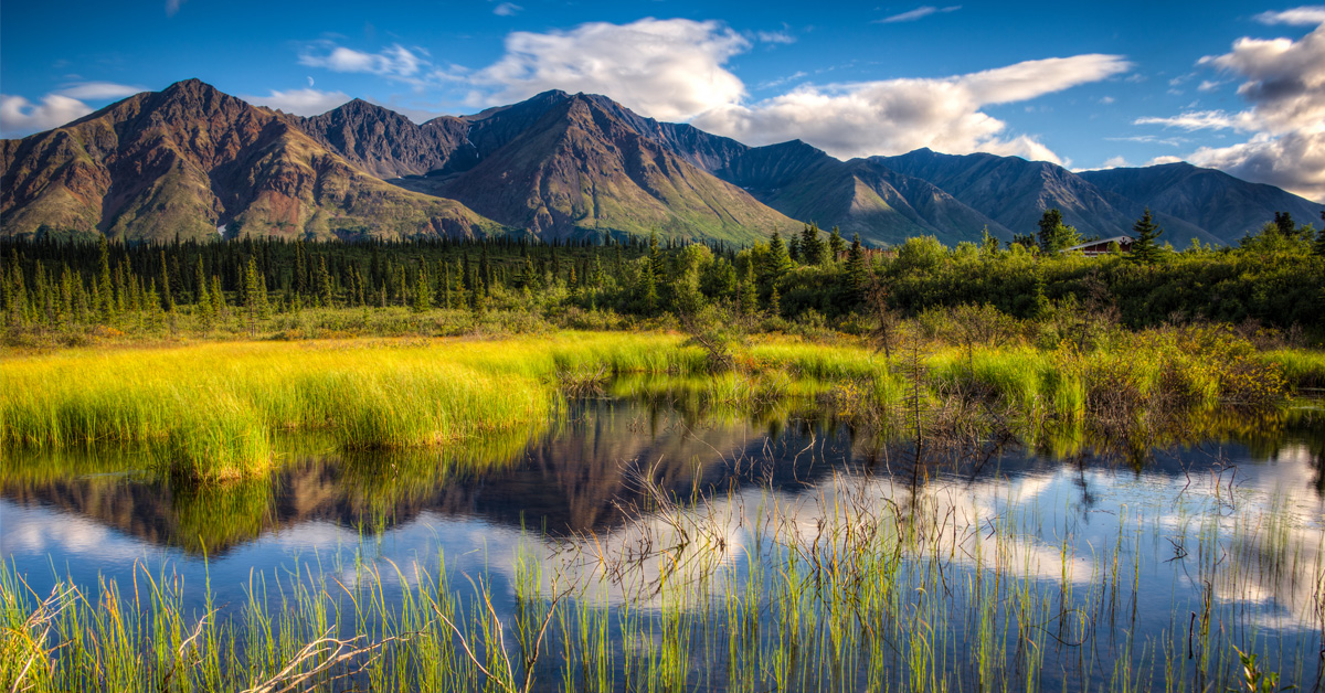 Donate to Environmental Defense Fund to take the next step