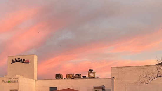 AADAP 50th Anniversary Gala - Campaign