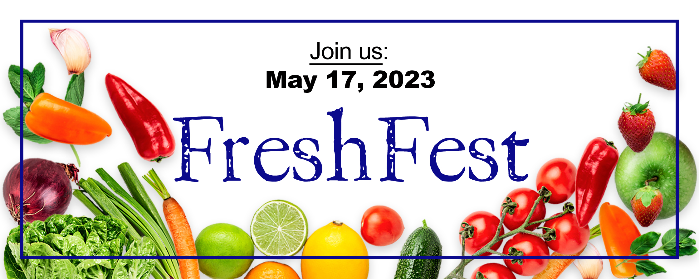 FreshFest Festival 2023 - Campaign