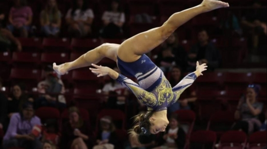 WVU Gymnastics - Campaign