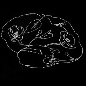 Shayna Fischer 's fundraising page for The Glioblastoma Research ...