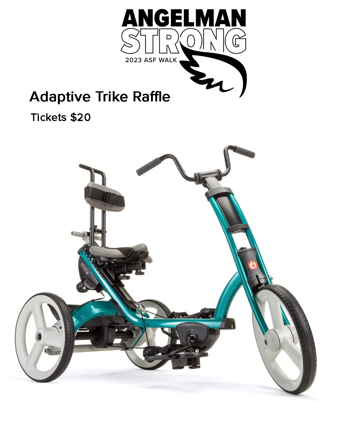 Adaptive Bike Raffle - Campaign