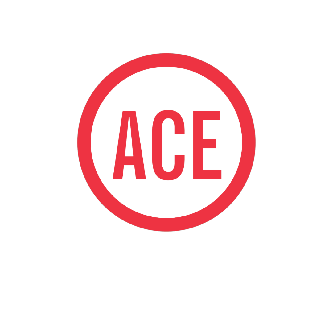 Donate to 2023 ACE Year End Giving