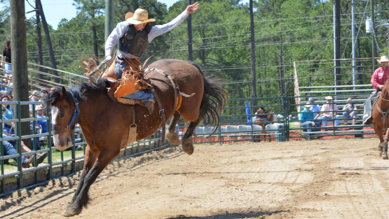 ABAC Spring Rodeo 2025 - Campaign