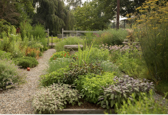 Donate to In Honor of Muffy Lewis