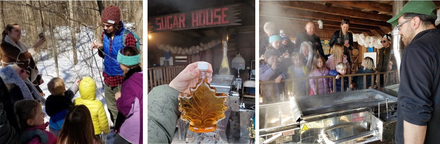 Syrup Saturday 2025 - Campaign