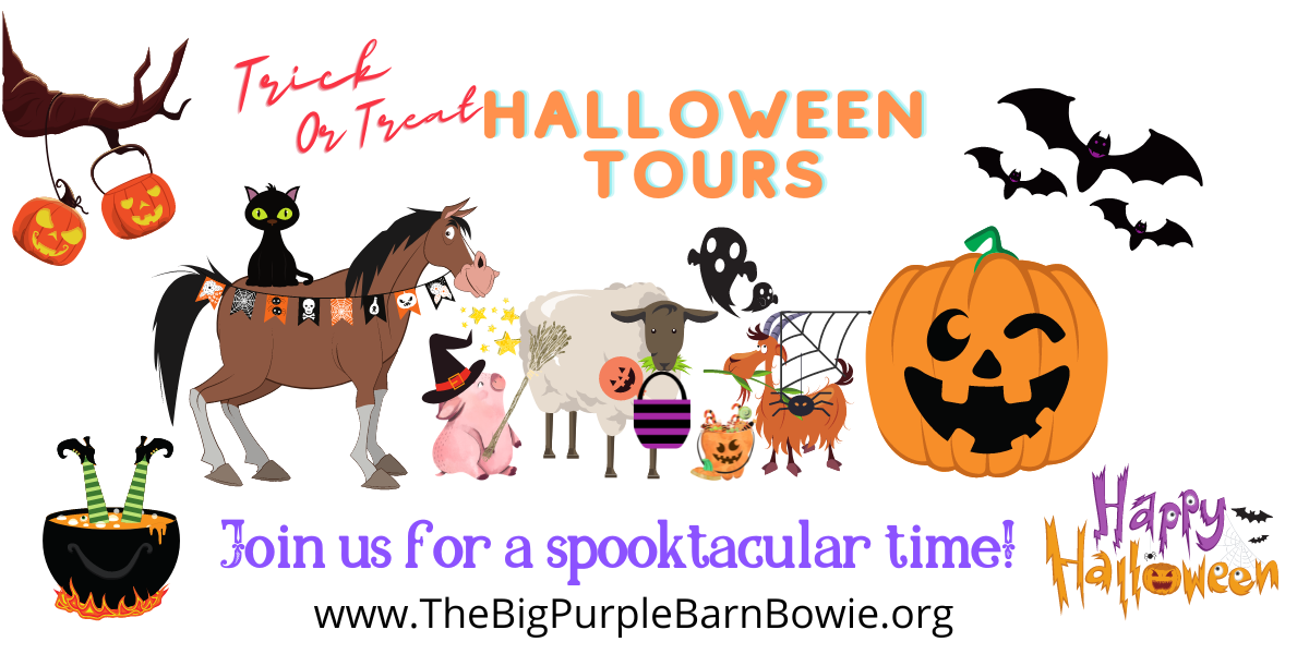 Halloween Trick or Treating in the Barnyard - Campaign