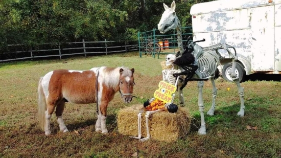 Halloween Trick or Treating in the Barnyard - Campaign