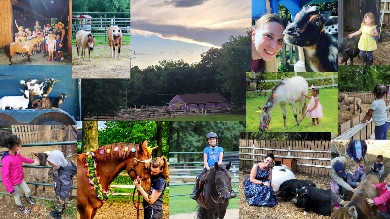 Donate to Friends of The Big Purple Barn