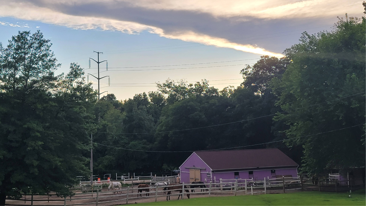 Support The Big Purple Barn on Giving Tuesday 2023 and Beyond - Campaign