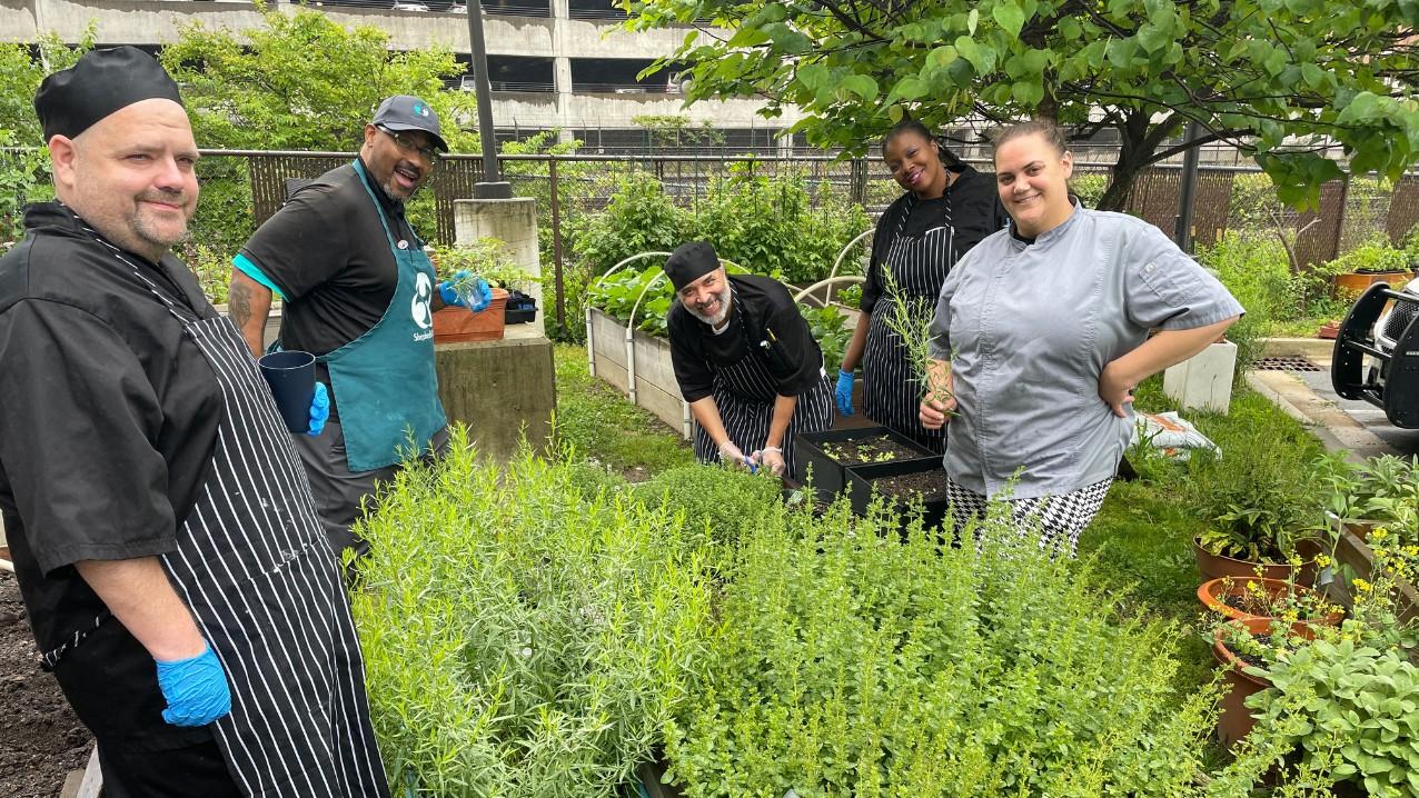Serving the Growing Need - Campaign