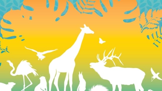 All for Animals Giving Day 2025 - Campaign